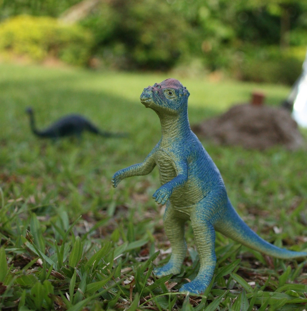 Gevonden: schedel 'nieuwe' dino