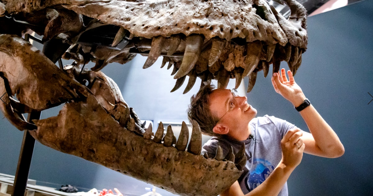 T-rex Trix is na jaren weer terug in Leiden