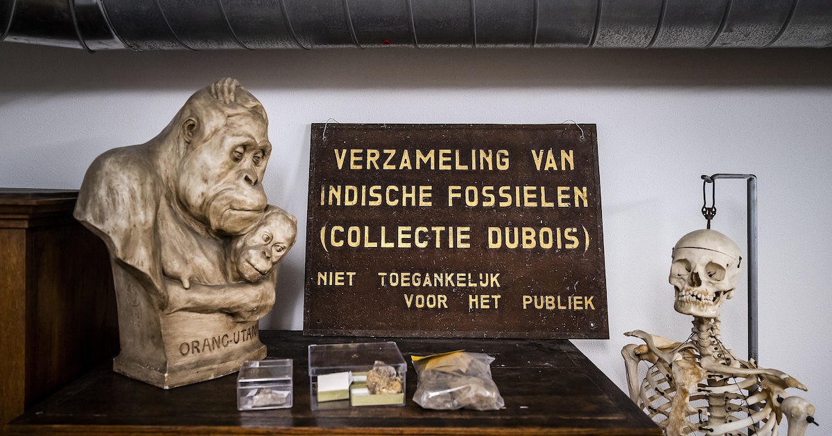 Nederland geeft gestolen kunst terug aan Indonesië