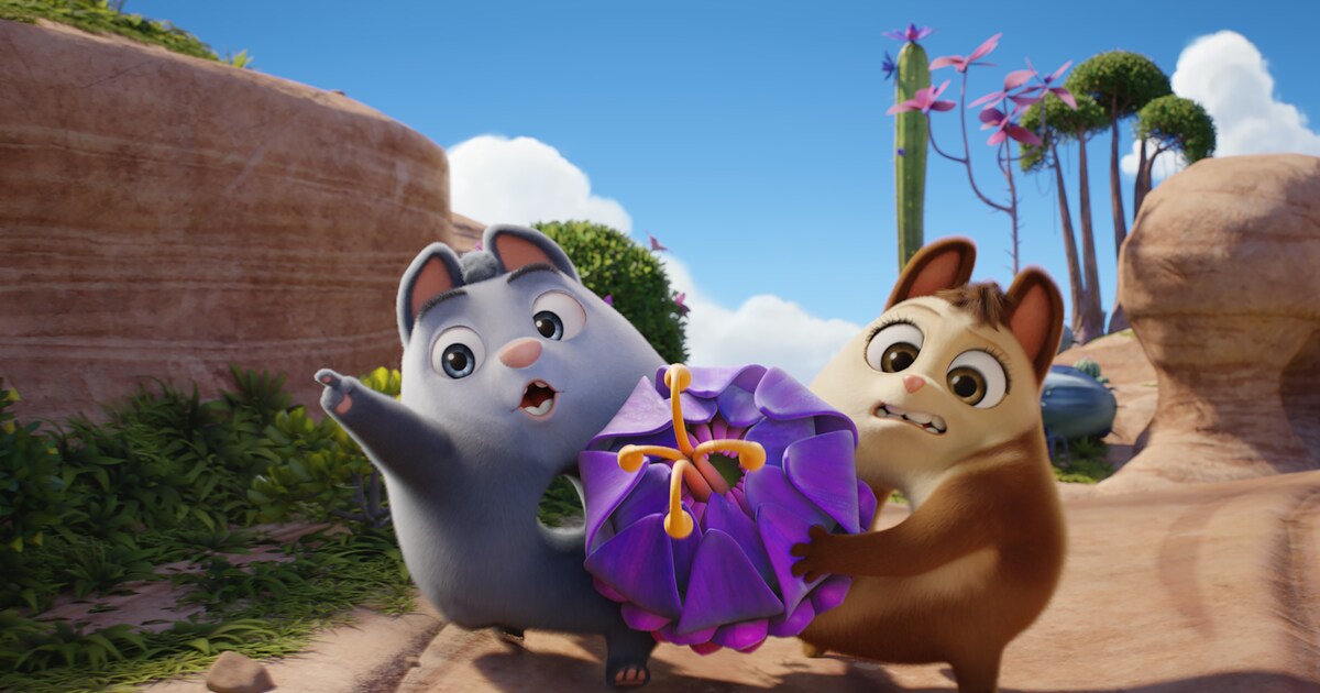 De Flummels draaien door