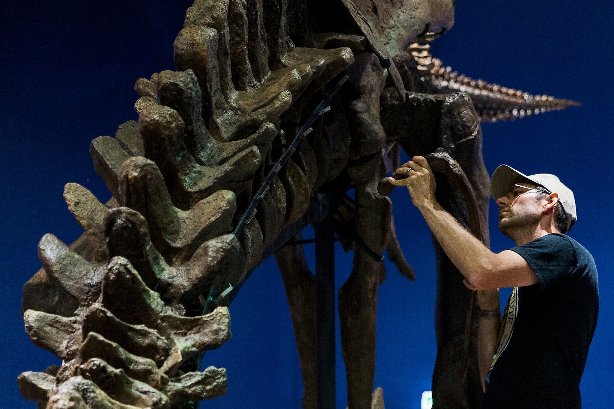 Vanaf vandaag te zien: T-rex Trix