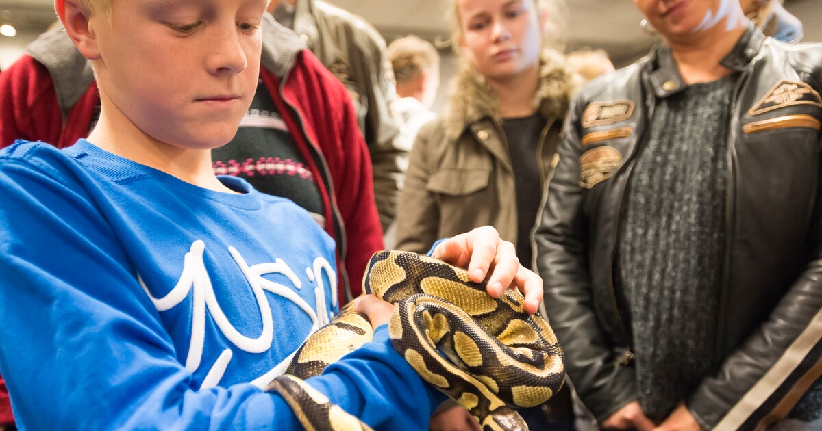 Deze kinderen zijn niet bang voor een slang Deze kinderen zijn niet bang voor een slang
