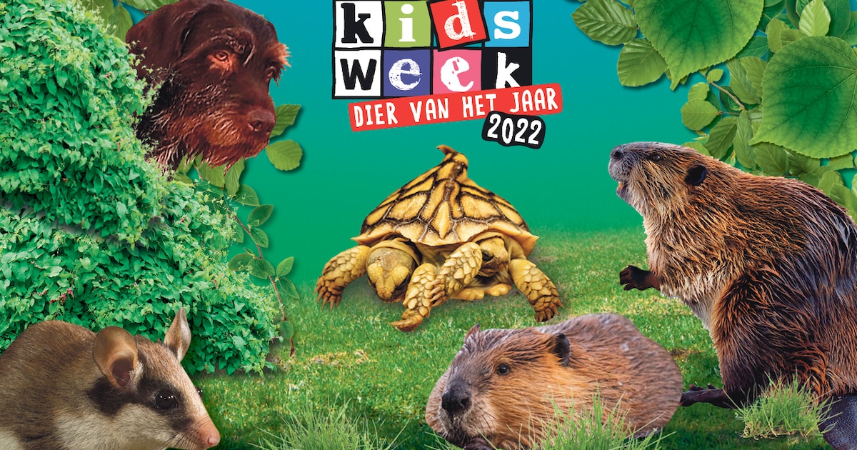Kom jij naar het grote Dier van het Jaar-feest?