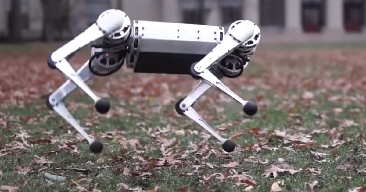 Filmpje: robot-hond maakt salto achterover