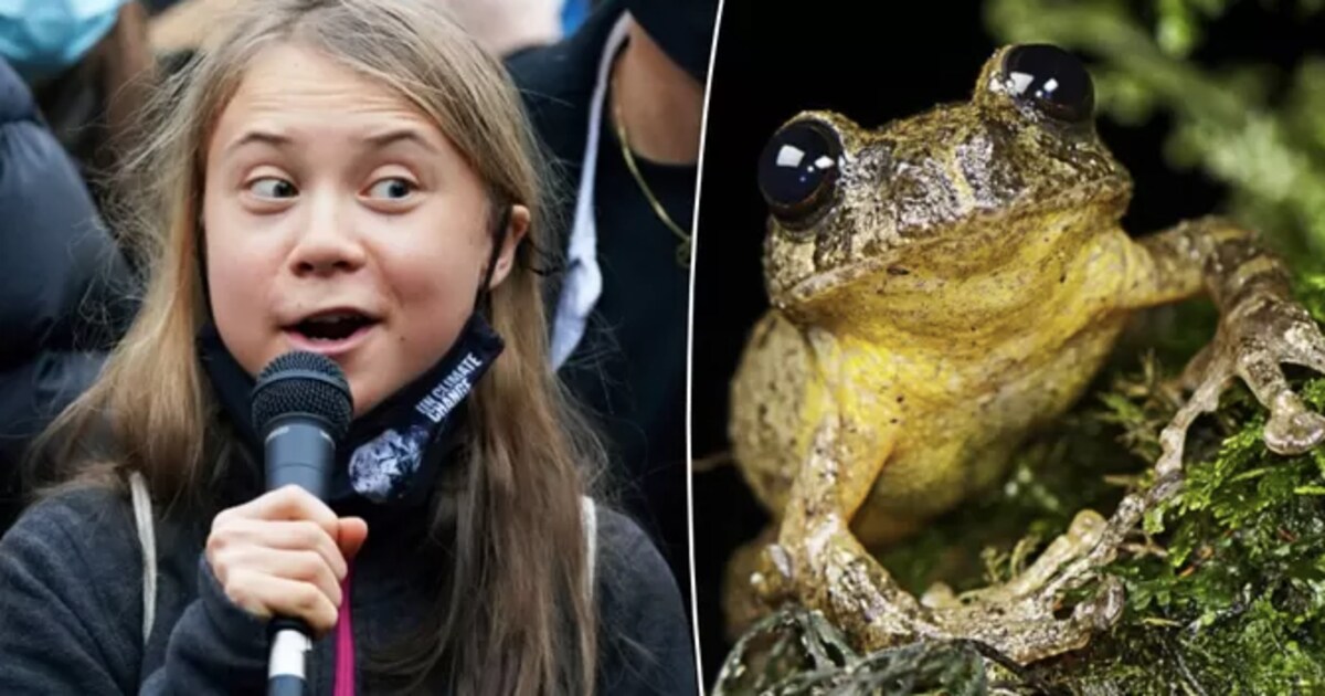 Deze dieren zijn vernoemd naar Greta Thunberg Deze dieren zijn vernoemd naar Greta Thunberg