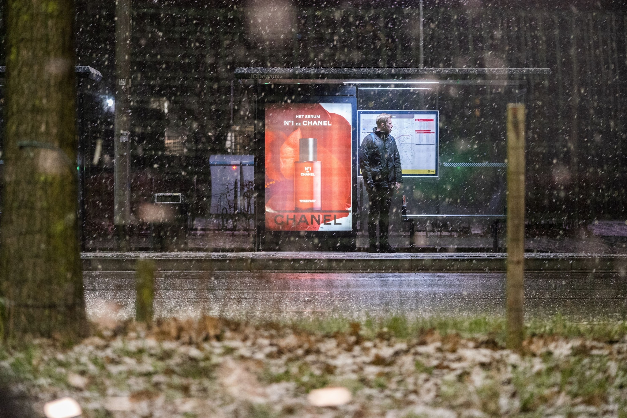 Foto's: winterweer in Nederland