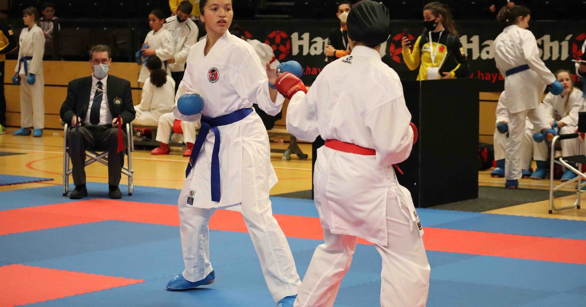 vechtsporten verdedigingssporten japan
