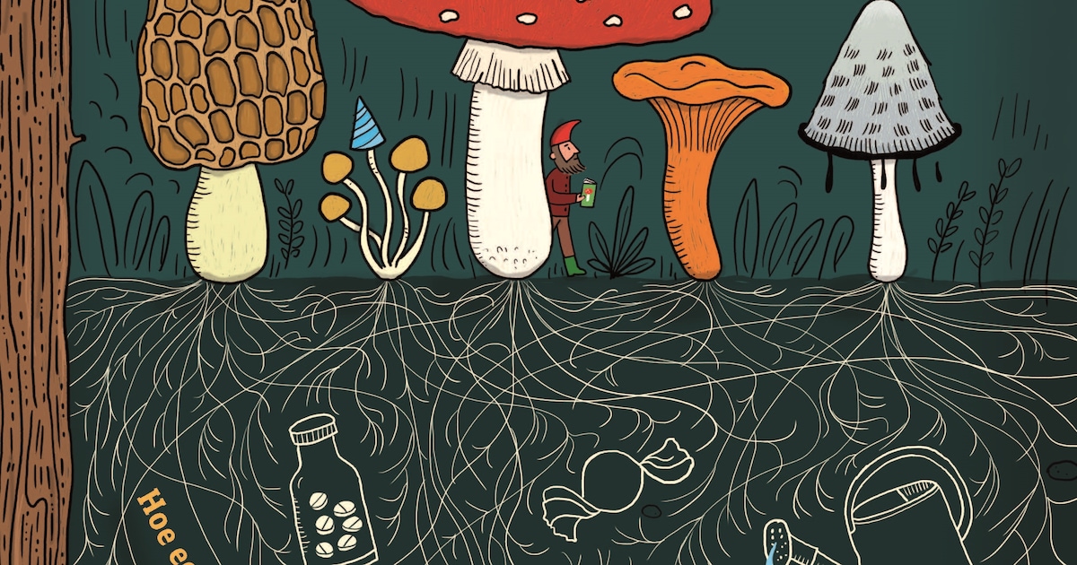 Paddenstoel & co: schimmig schimmelrijk