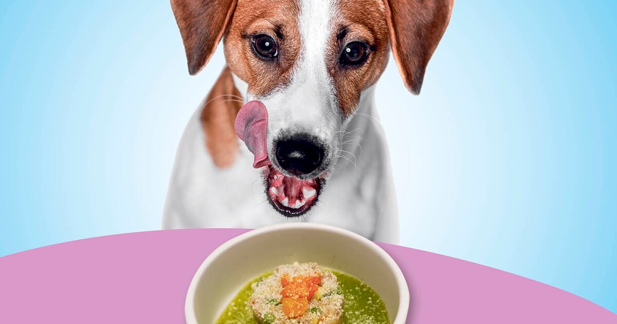 Dit restaurant kookt chique gerechten speciaal voor... honden!