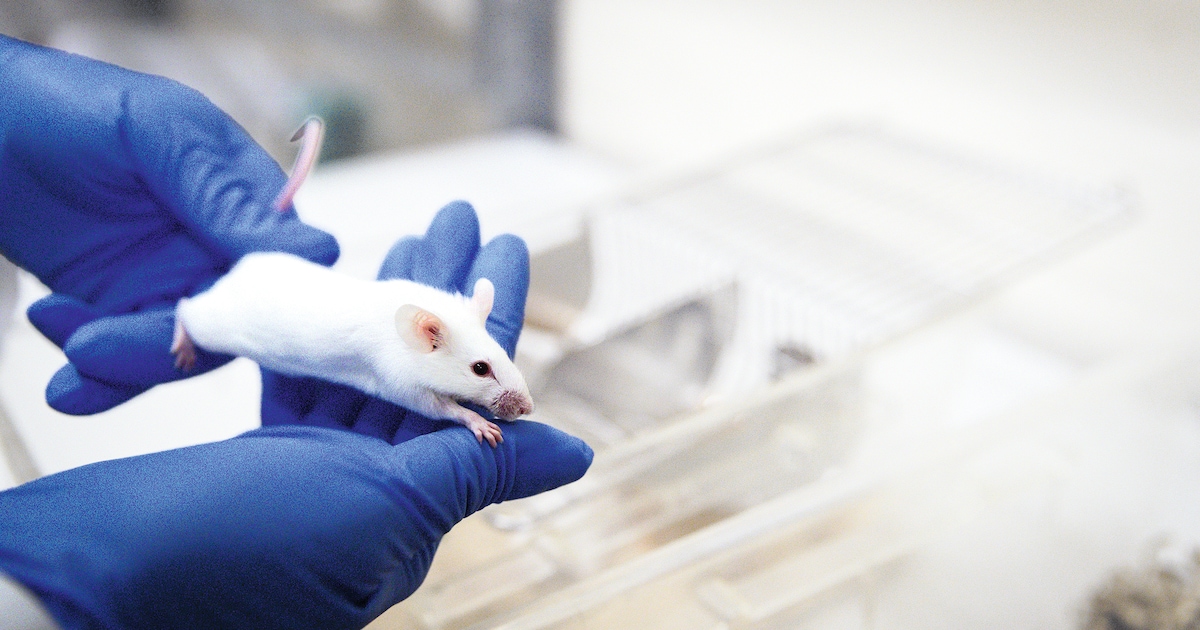 Proefdieren: kan het ook zonder?