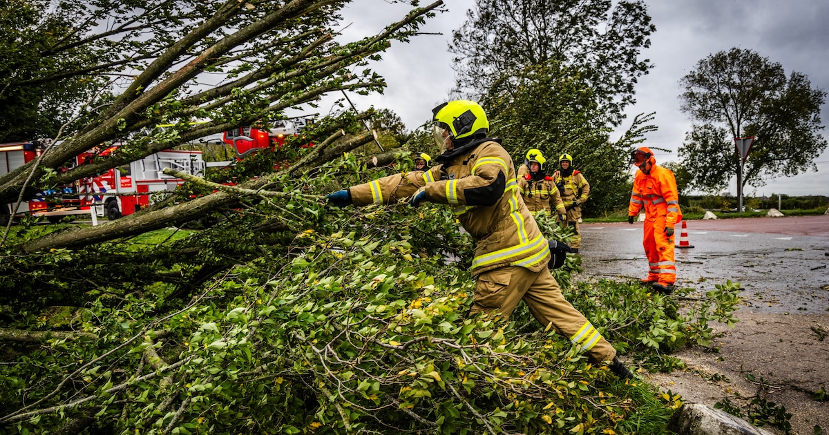 Bert, Hugo en Poppy: dit zijn de nieuwe stormnamen van dit seizoen