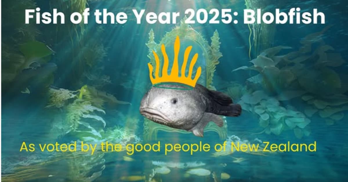 Blobvis benoemd tot Vis van het Jaar - Kidsweek