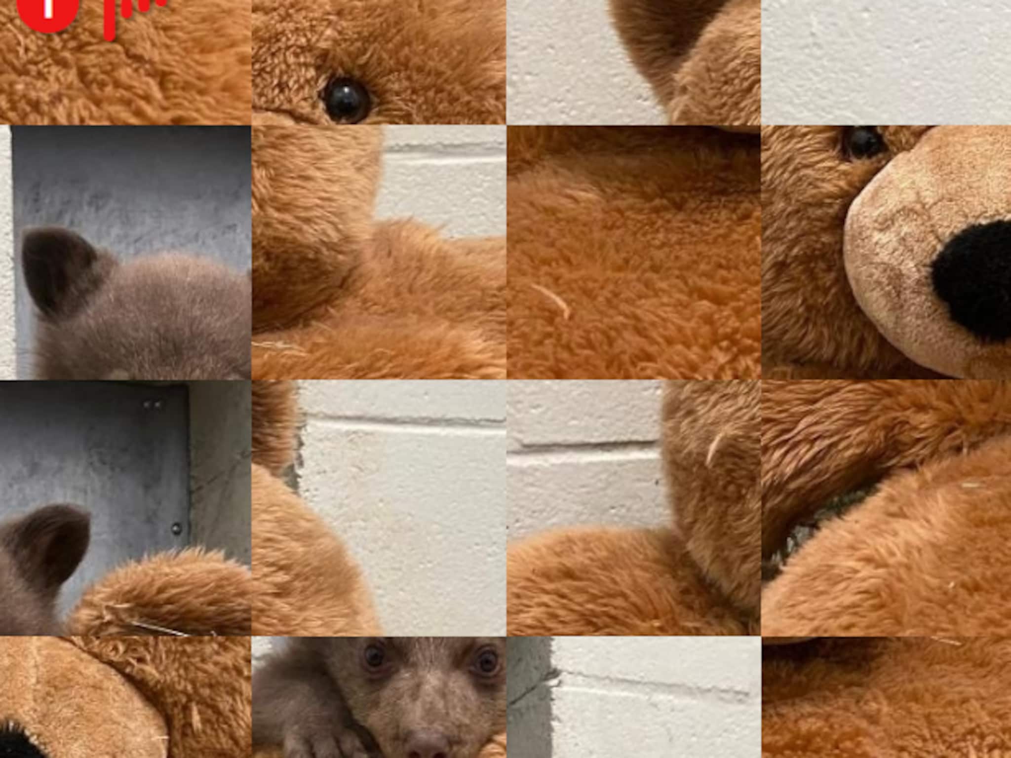 4 uitjes voor tijdens het Hemelvaartweekend - Kidsweek