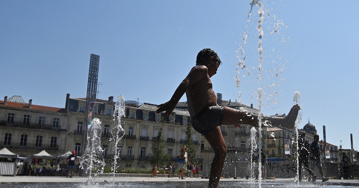6x lezersvragen over hitte: ‘Waarom kunnen sommige mensen er beter ...