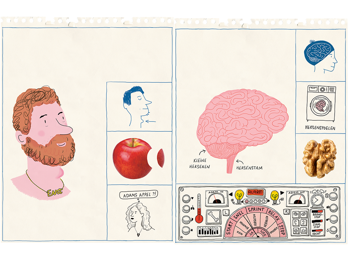 Boekrecensie Van tong tot teen: Een leerzame reis door het lichaam met grappige tekeningen ...