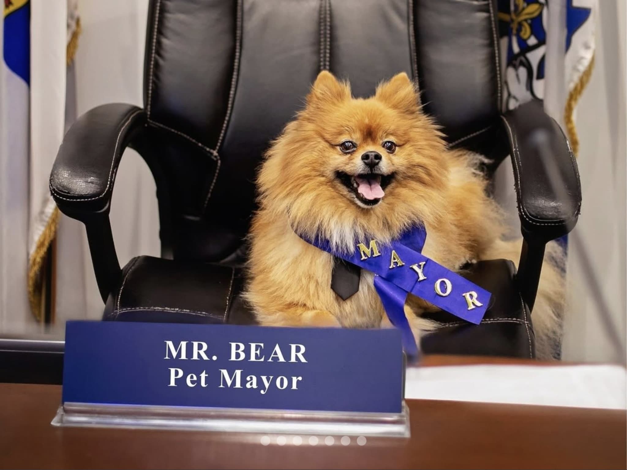 Udio: Wat is het en hoe werkt het?