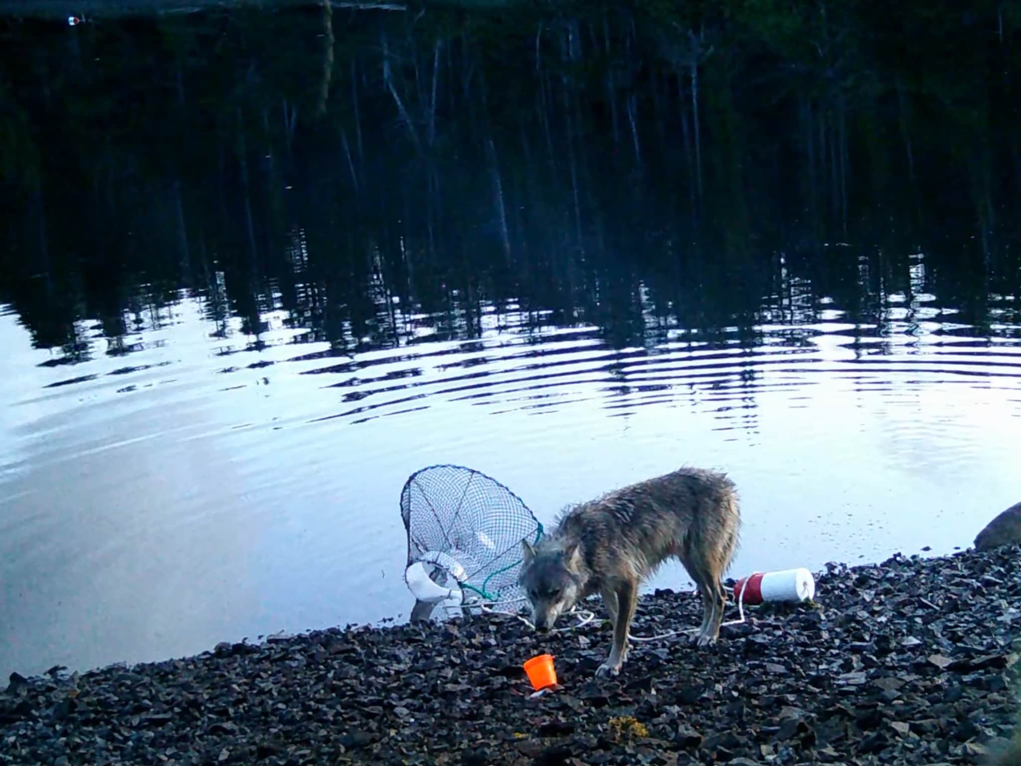 Udio: Wat is het en hoe werkt het?