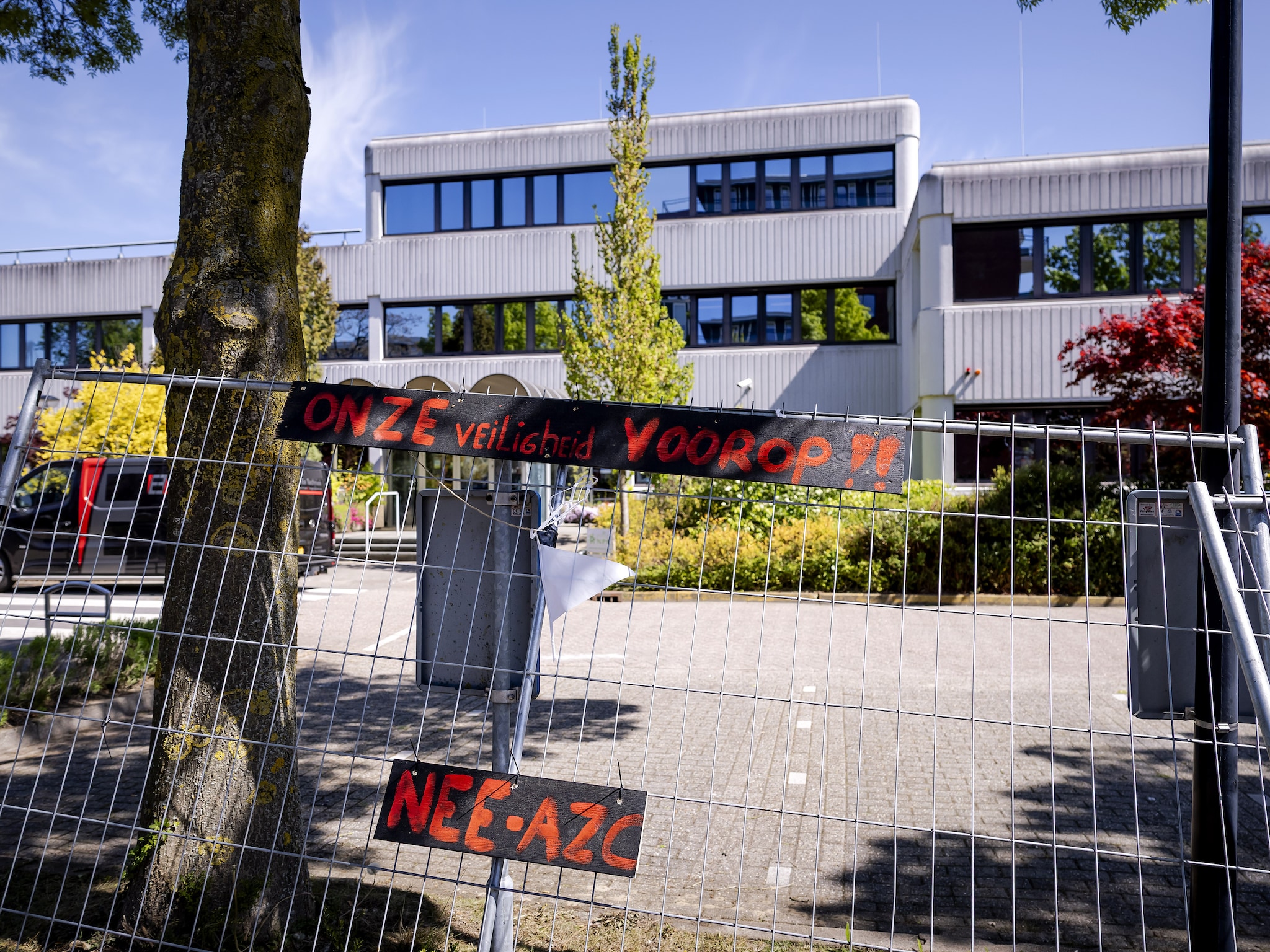 Vampierslak is internationaal weekdier van het jaar - Kidsweek
